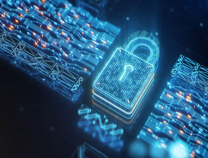 DesignWare Integrity & Data Encryption (IDE) Security IP Modules