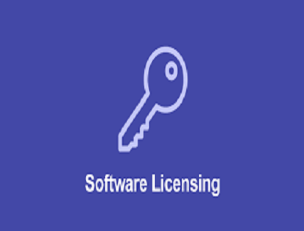 Challenges in Software Licensing & How to Conquer Them